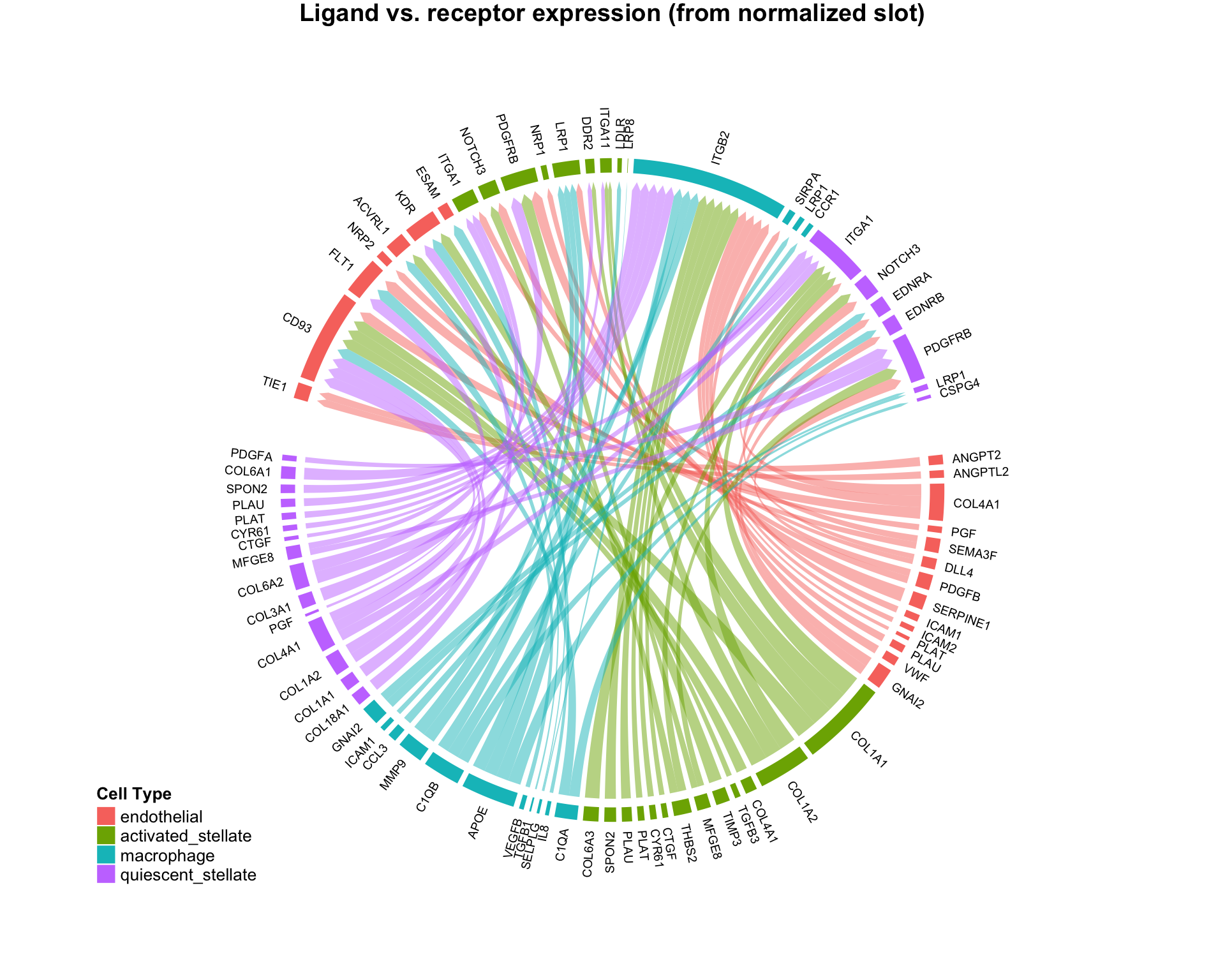 Connectome Basic Workflow • Connectome